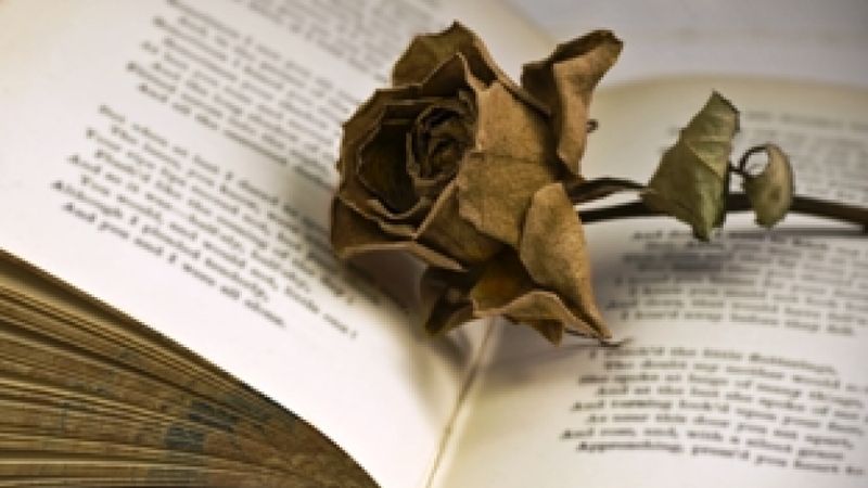 Signification des prénoms